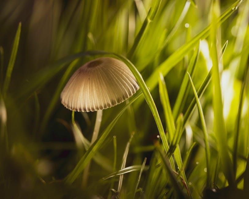 Iowa Mushroom Guide: Discover Wild Mushrooms in Iowa